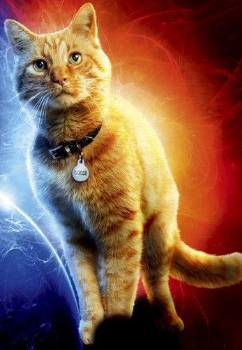 Flerken | Fiction Taxonomy Wiki | Fandom