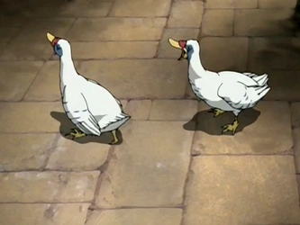 Turkey duck | Fiction Taxonomy Wiki | Fandom