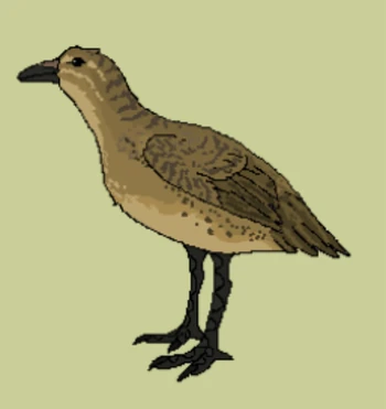 Canary-quail | Fiction Taxonomy Wiki | Fandom