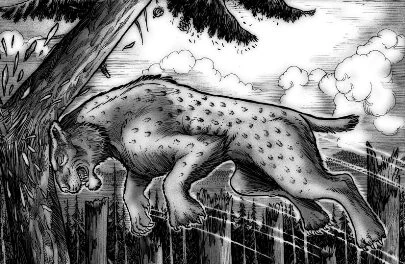 Splinter Cat | Fiction Taxonomy Wiki | Fandom