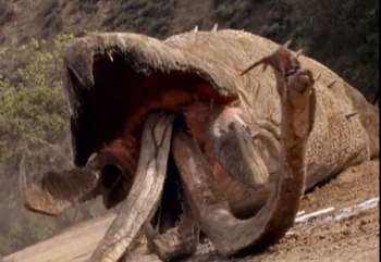 North American Graboid | Fiction Taxonomy Wiki | Fandom