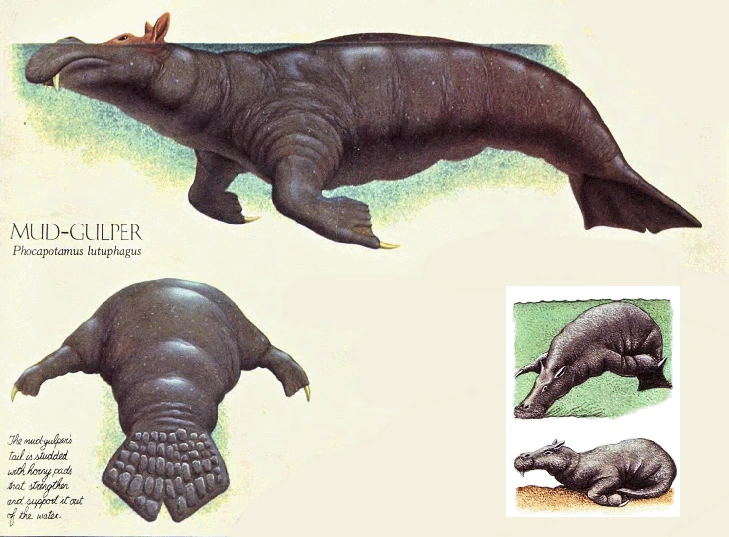 Mud-gulper | Fiction Taxonomy Wiki | Fandom