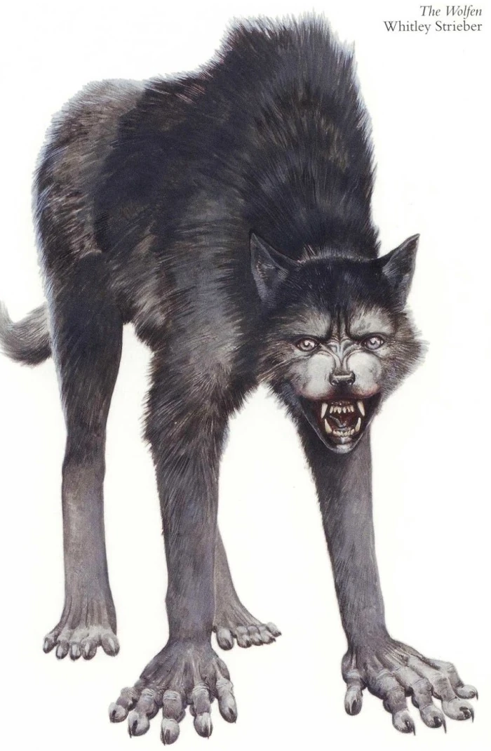 Wolfen | Fiction Taxonomy Wiki | Fandom