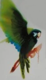 Martial Parrot | Fiction Taxonomy Wiki | Fandom