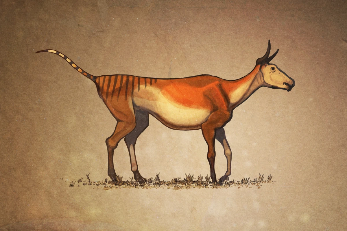 Cow (All Todays) | Fiction Taxonomy Wiki | Fandom