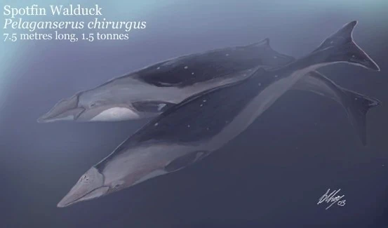 Spotfin walduck | Fiction Taxonomy Wiki | Fandom