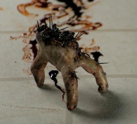 Splinter fungus | Fiction Taxonomy Wiki | Fandom
