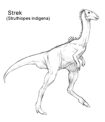 Strek | Fiction Taxonomy Wiki | Fandom