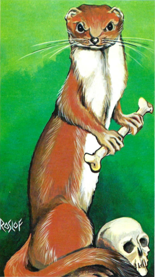 Giant weasel | Fiction Taxonomy Wiki | Fandom