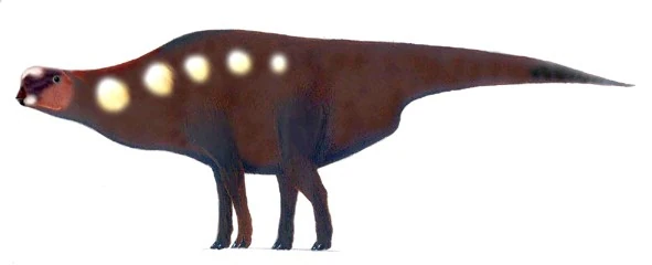 Pale singer | Fiction Taxonomy Wiki | Fandom