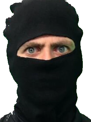 Ninja Brian | Fiction V. Fiction Wiki | Fandom