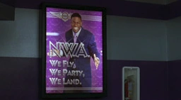 Nashawn Wade Airlines | Fictional Airlines Wikia | Fandom
