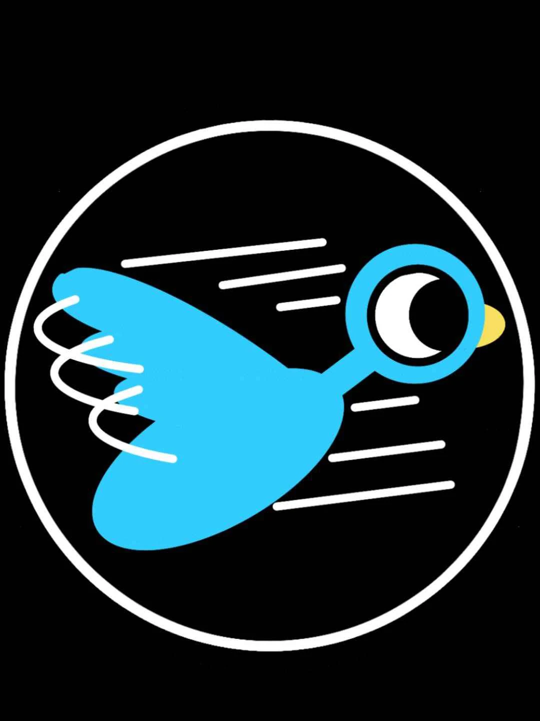 Pigeonair | Fictional Airlines Wikia | Fandom