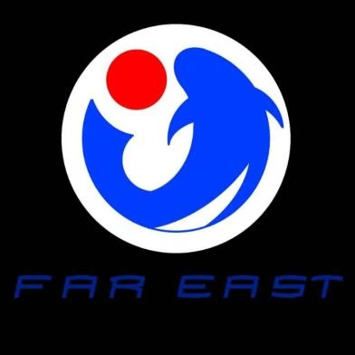 Far East Airlines (Mixopolis Island) | Fictional Airlines Wikia | Fandom
