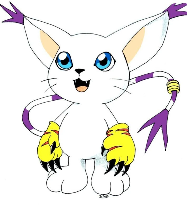 Gatomon | Fictional Anime Creatures Wiki | Fandom