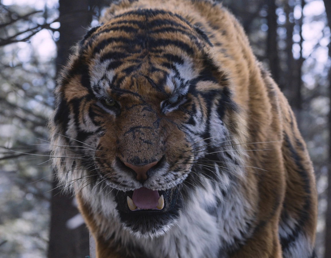 Mountian Lord | Fictional Battle Omniverse Wiki | Fandom