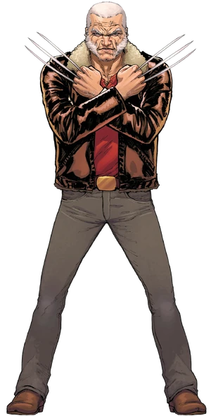 Wolverine (Earth-807128) | Fictional Battle Omniverse Wiki | Fandom