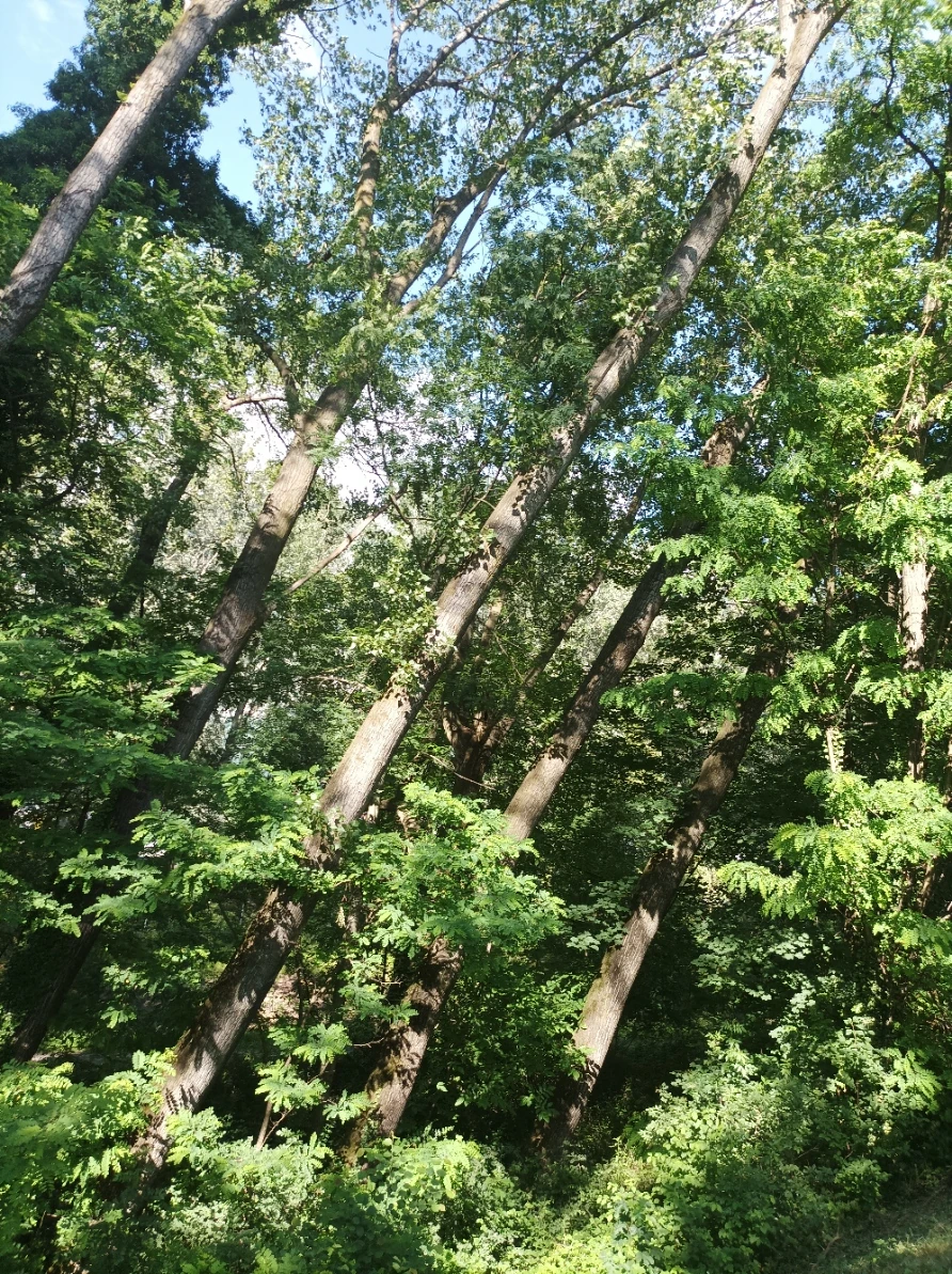 🫖 | Fictional Googology Wiki | Fandom