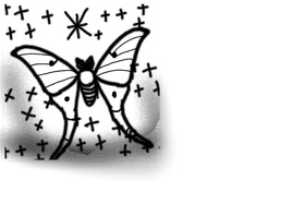 TRUM...BoAN | Fictional Googology Wiki | Fandom