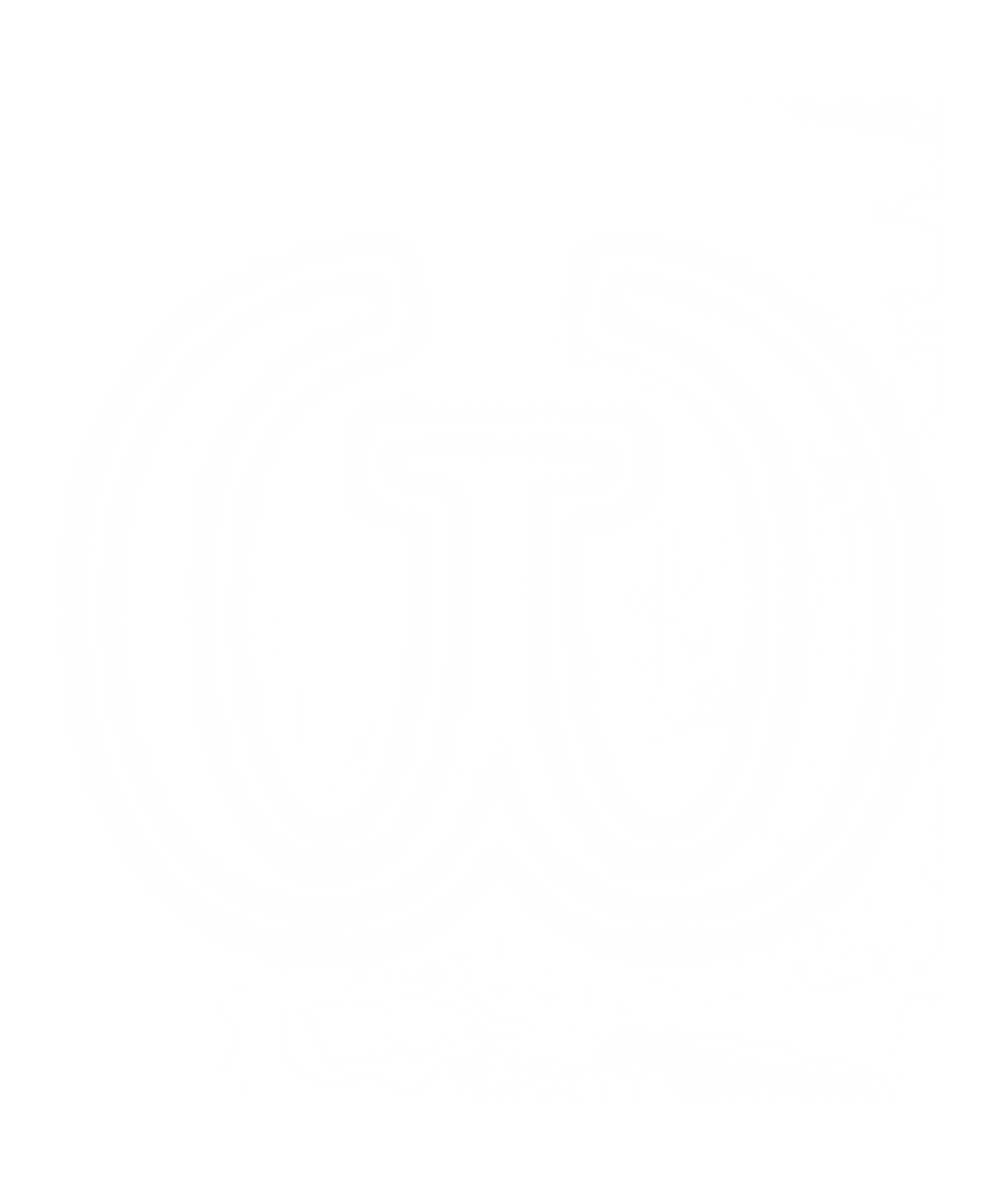 Final Infinity Fictional Googology Wiki Fandom