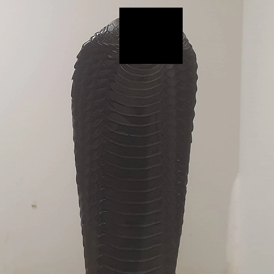 SCP-6846 (Fanon, Original Article, English Branch SCP Foundation ...