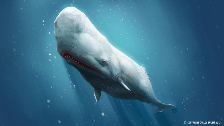 Moby Dick (American Folklore)/Apex Predator GX | Fictional Indexing ...