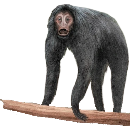 De Loys' Ape (Colombian/Venezuelan Folklore)/Oiguana2701 | Fictional ...