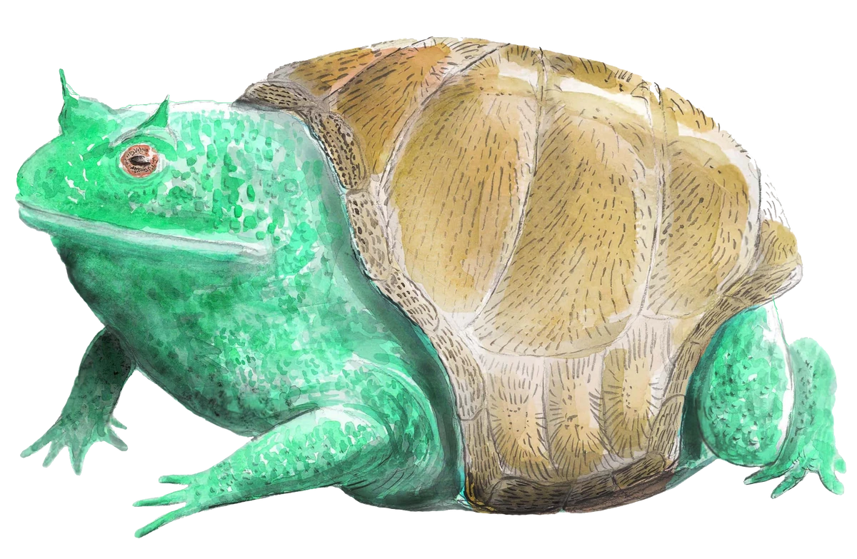 Sapo Fuerzo (Chilean Folklore)/Apex Predator GX | Fictional Indexing ...