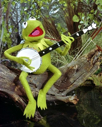Kermit the Frog | Fictional Musicians Wikia | Fandom