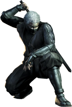 Rikimaru | Fictional Ninja Wiki | Fandom