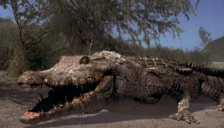 Flat Dog | Fictional Reptiles Wiki | Fandom