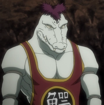 Alligator (Hunter x Hunter) | Fictional Superhuman Powers Wiki | Fandom