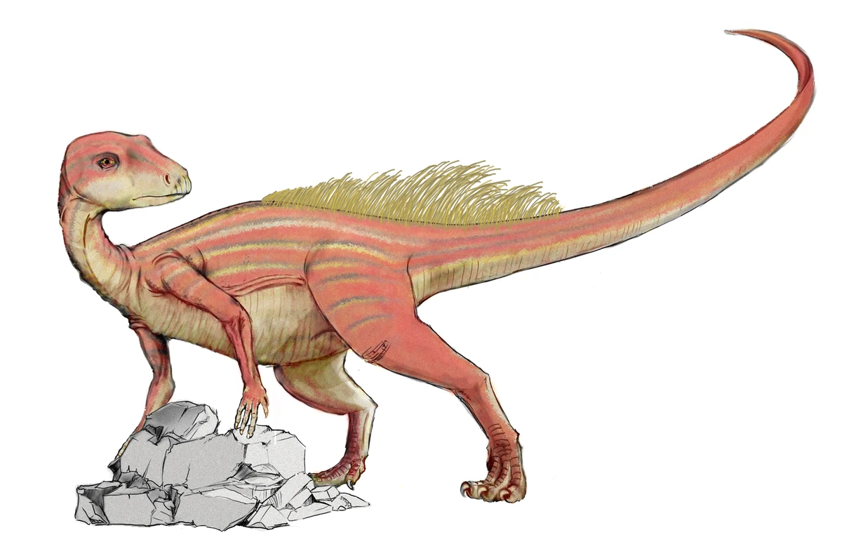 Abrictosaurus | Fictional taxonomy Wiki | Fandom