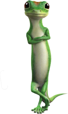 The Gecko | Fictional Characters Wiki | Fandom