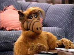 ALF | Fictional Characters Wiki | Fandom