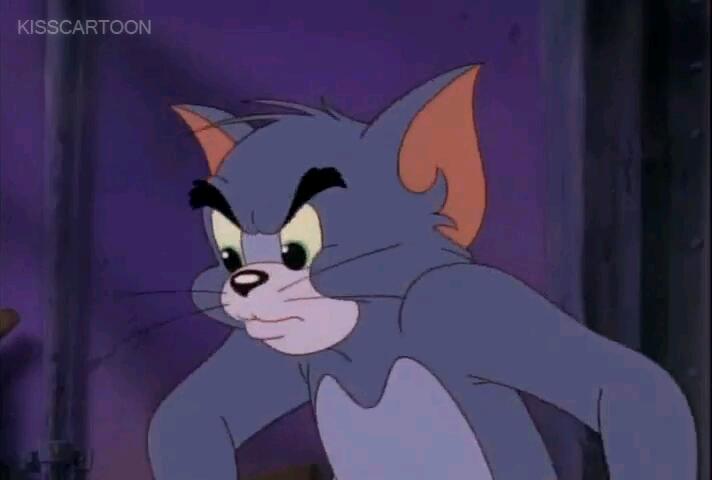 Tom Cat Fictional Characters Wiki Fandom