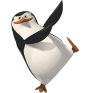 Skipper | Fictional Characters Wiki | Fandom