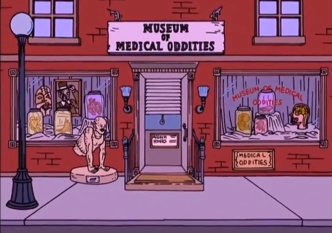 Museum of Medical Oddities | Fictional Companies Wiki | Fandom