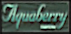 Aquaberry | Fictional Companies Wiki | Fandom