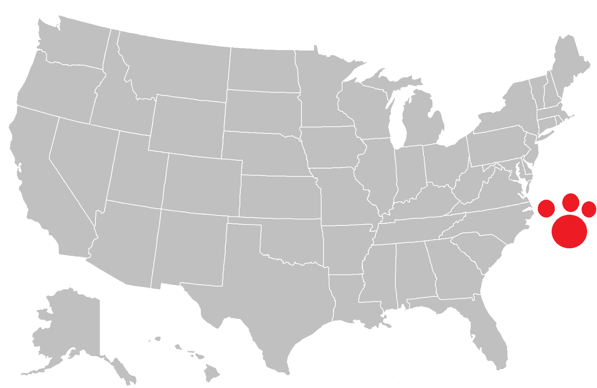 Feline's State | Fictional Countries Wiki | Fandom