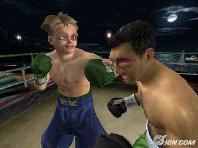 Gamecube Fight