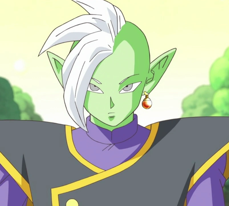 Zamasu | Fictional Fighters Wiki | Fandom