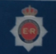 Manchester Metropolitan Police (In the Dark) | Fictional Police Forces ...