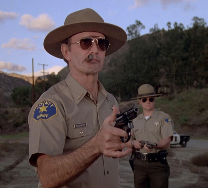 Cleon County Sheriff's Department | Fictional Police Forces in USA ...