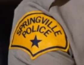 Springville Police Department | Fictional Police Forces in USA Media ...