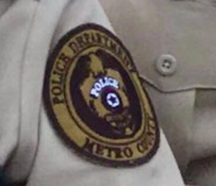 Metro County Police Department | Fictional Police Forces in USA Media ...