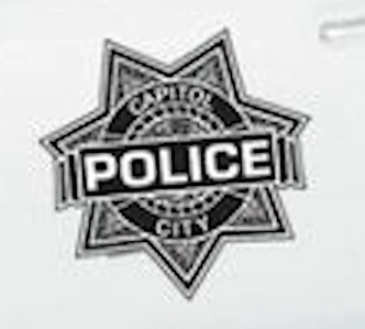 Capitol City Police Department | Fictional Police Forces in USA Media ...