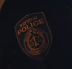 Bayview Police Department | Fictional Police Forces in USA Media Wiki ...