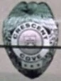 Crescent Cove Police Department | Fictional Police Forces in USA Media ...