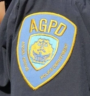 Angel Grove Police Department | Fictional Police Forces in USA Media ...